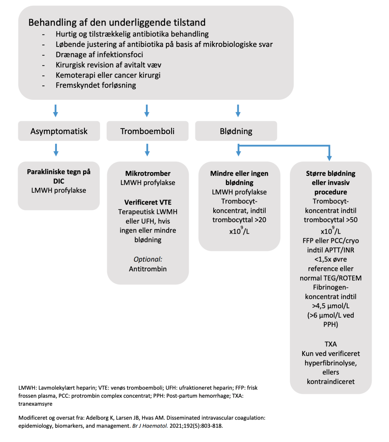 NBV Dissemineret Intravaskulær Koagulation - Dasaim