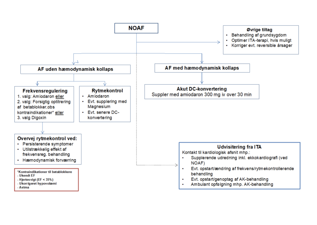 NBV for atrieflimren – behandlingsalgoritme for rytmekontrol og frekvensregulering - Dasaim