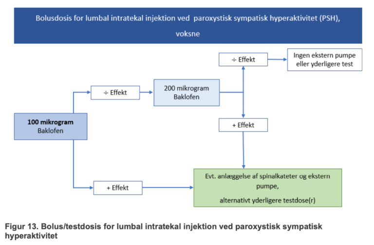 Visitation og behandling af neurotraumer (National klinisk vejledning) - Dasaim
