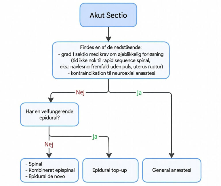 Anæstesi til sectio - Dasaim